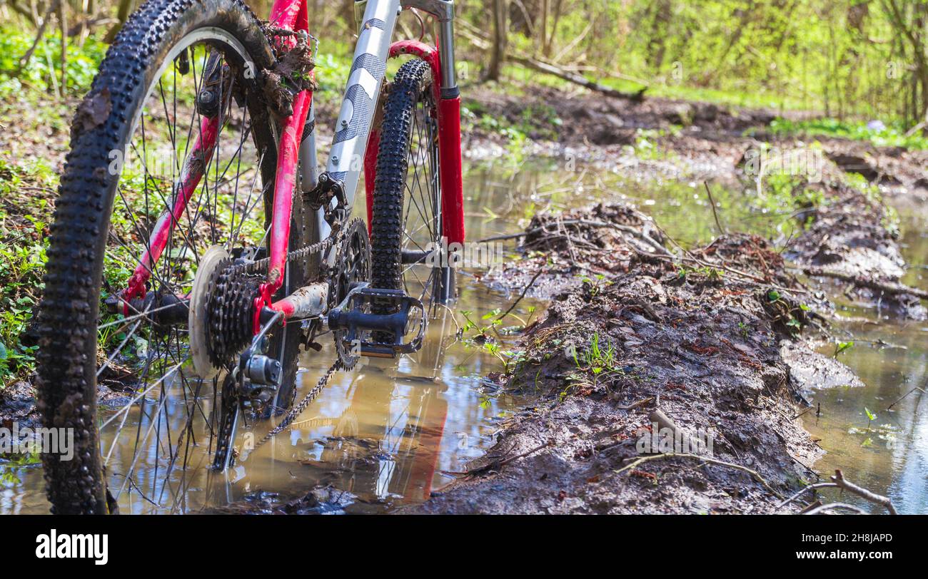 Dirty mountain bike in puddle of mudd green forest. View from bike ...