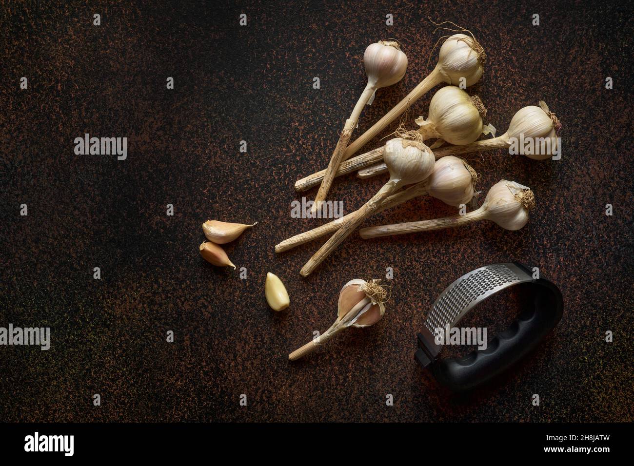 Garlic heads and metal press for grinding garlic on a dark background ...