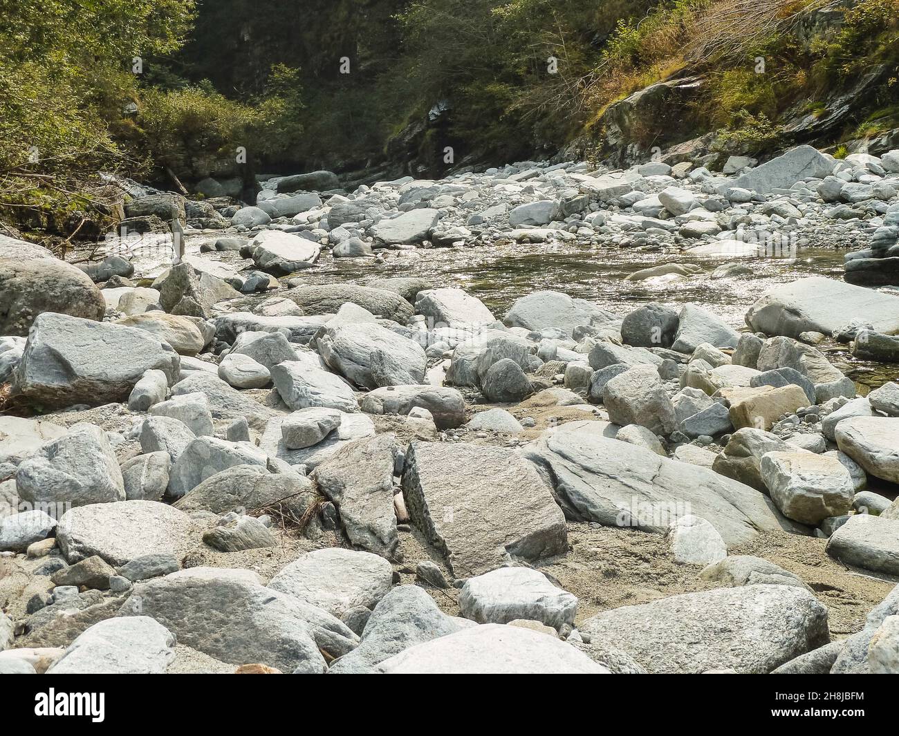 Shallow canal in a forest Stock Photo - Alamy