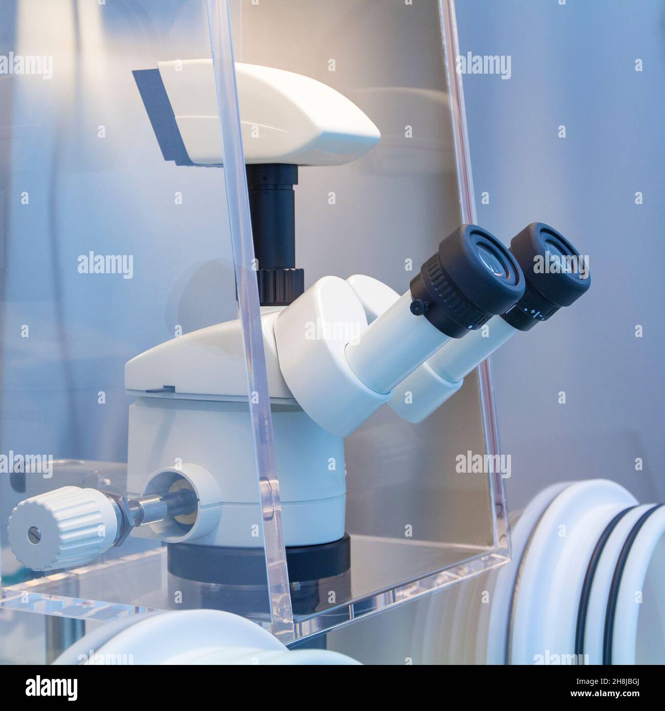 The eyepieces of a light or fluorescent microscope in a research ...