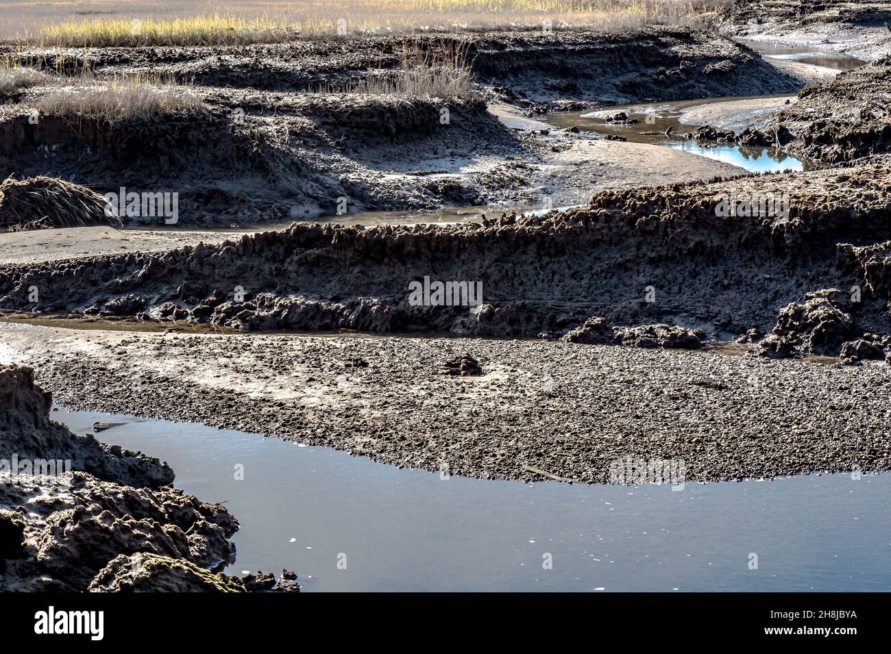 Coastal marshes destroy hi-res stock photography and images - Alamy