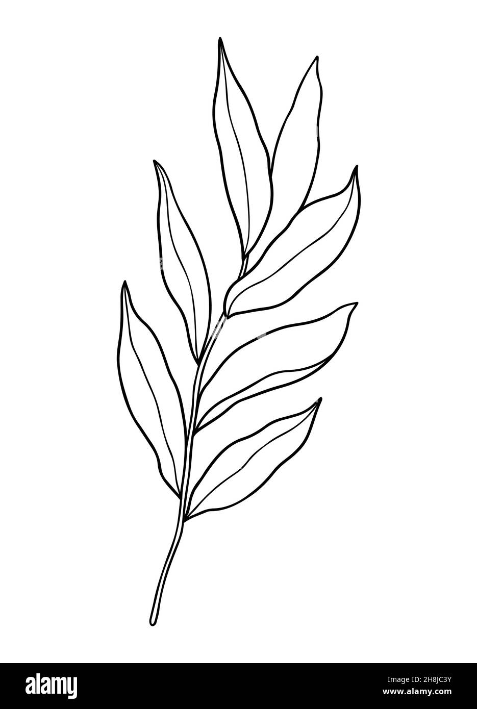 Abstract twig with leaves isolated on a white background. Vector hand ...
