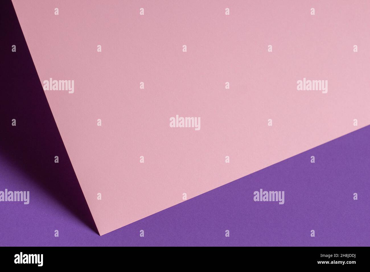 Blank pastel pink paper sheet card note with shadows on violet purple ...