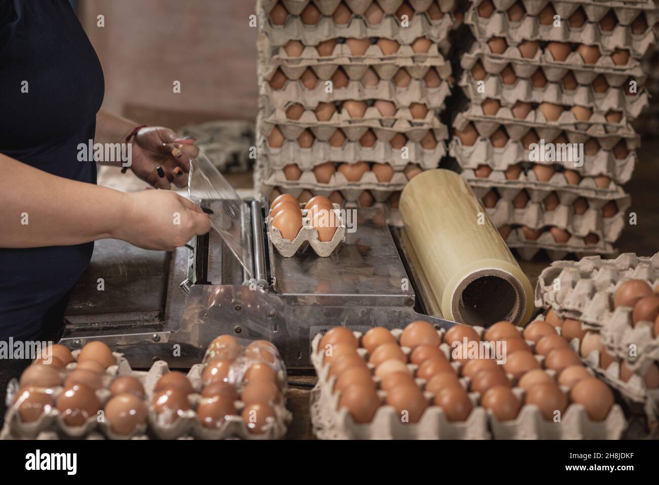 Female organizing some farm eggs to send to the shops to sell Stock ...