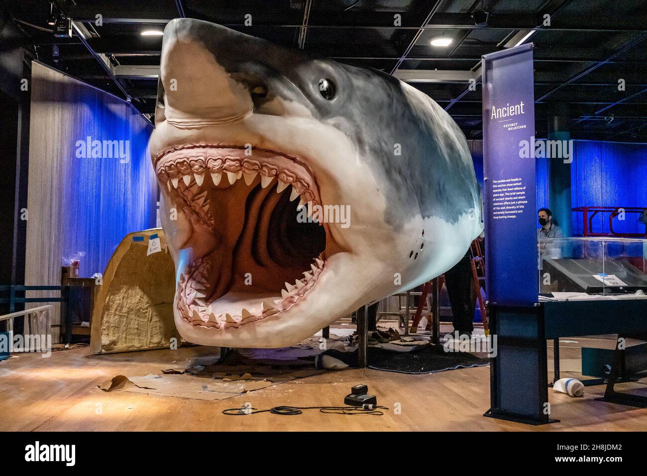 New York, USA. 30th Nov, 2021. The exhibition team of the American ...