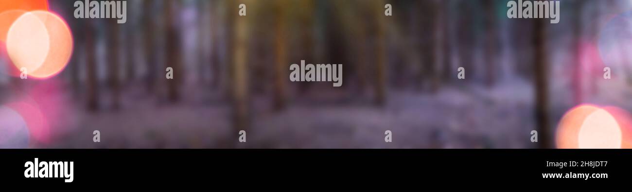 Web header template with mysterious fairy fall blurred bokeh forest ...