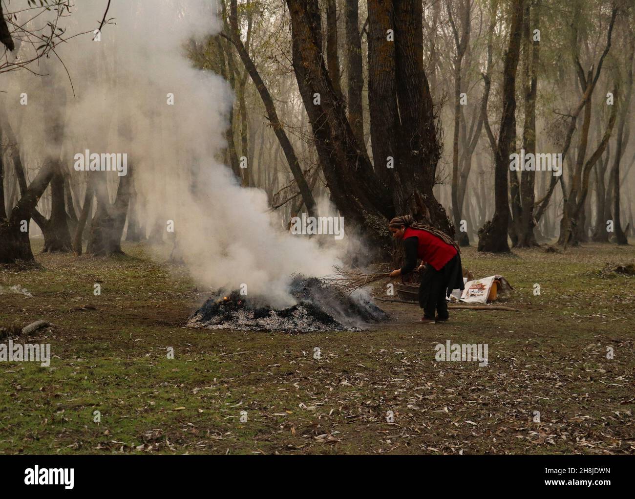 Woman smoking in tree hi-res stock photography and images - Alamy