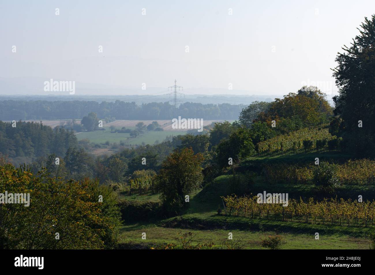 Beautiful view of a bright green field with among trees on the hill ...