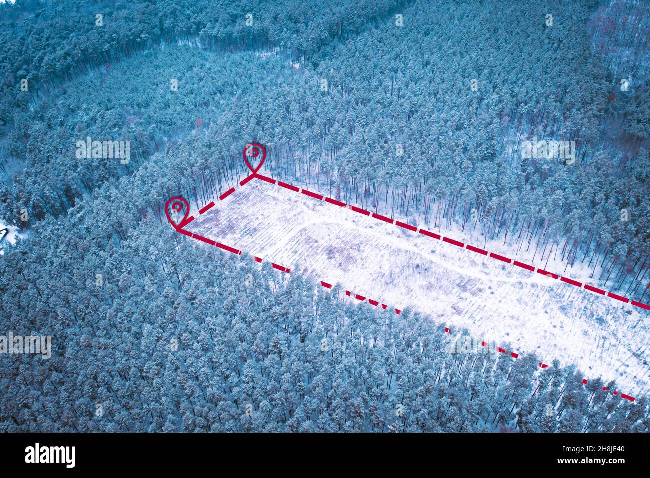 Deforestation Ecology concept. Empty Plot in winter forest with felled ...