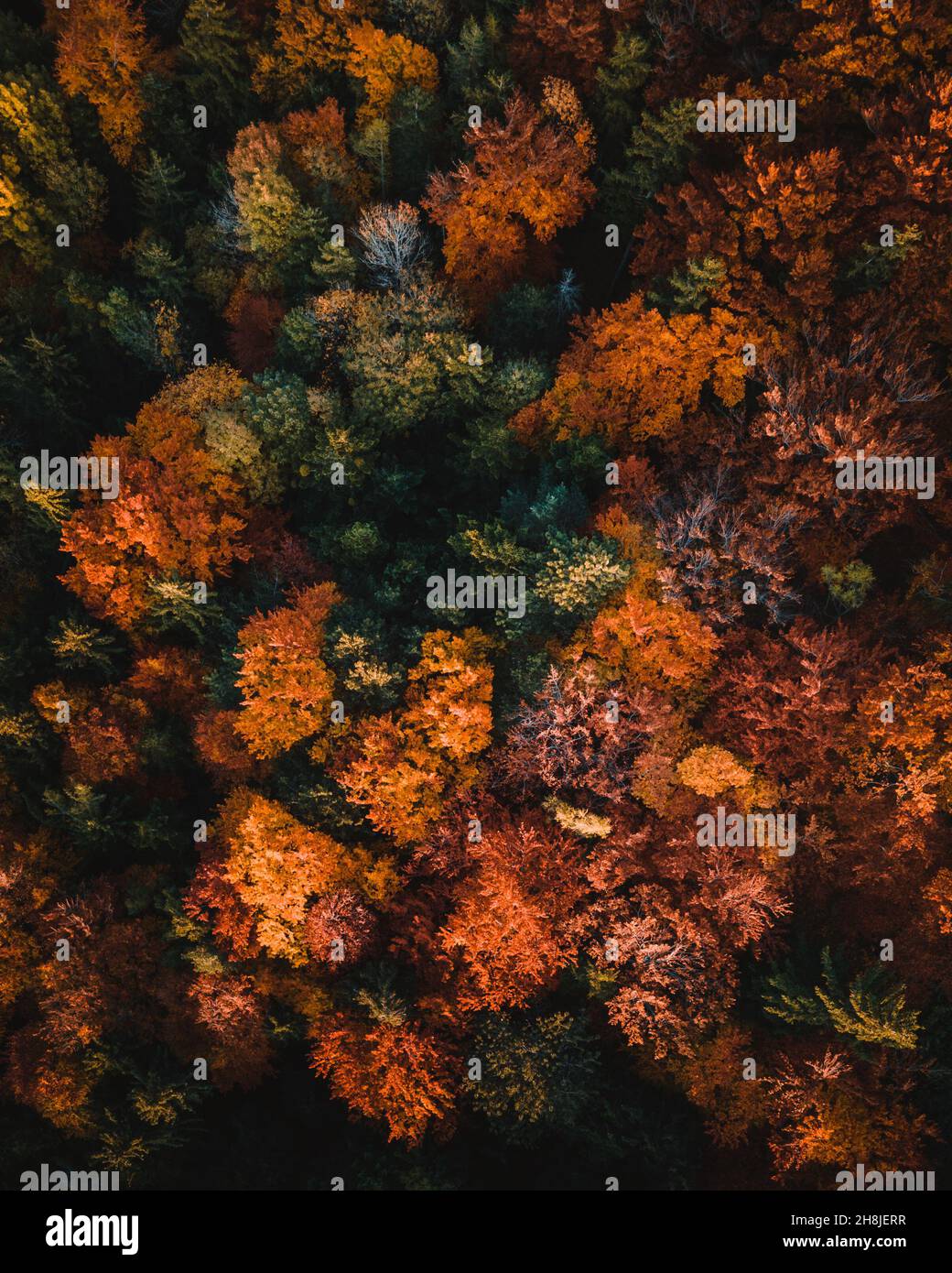 Aerial footage beautiful pathway in hi-res stock photography and images ...