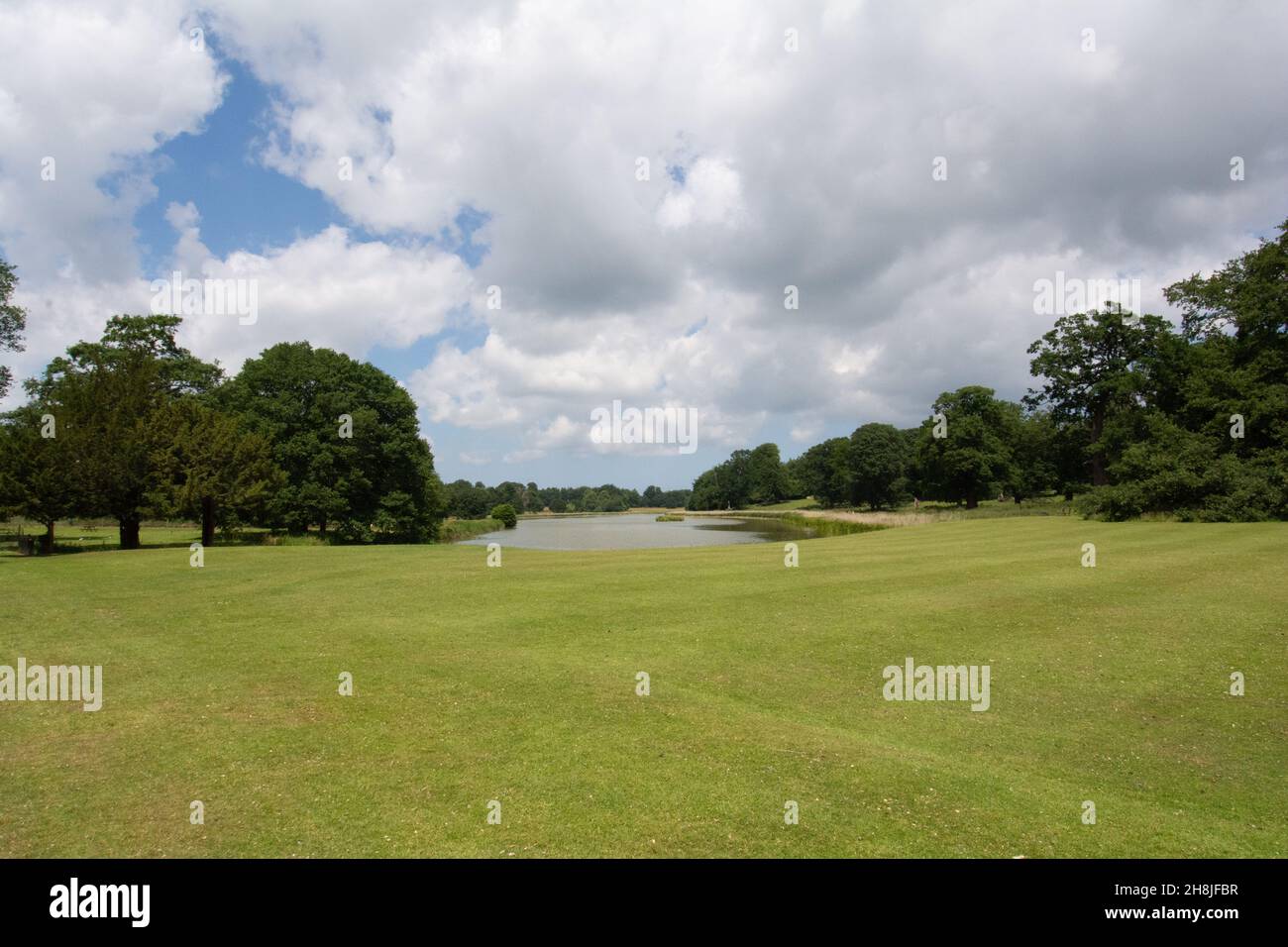 Beautiful view of a bright green field with a small lake among trees ...