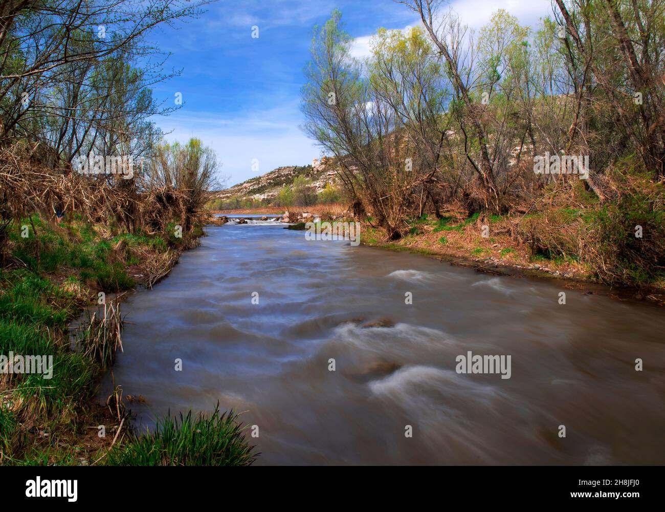 Verde River, Arizona Stock Photo - Alamy