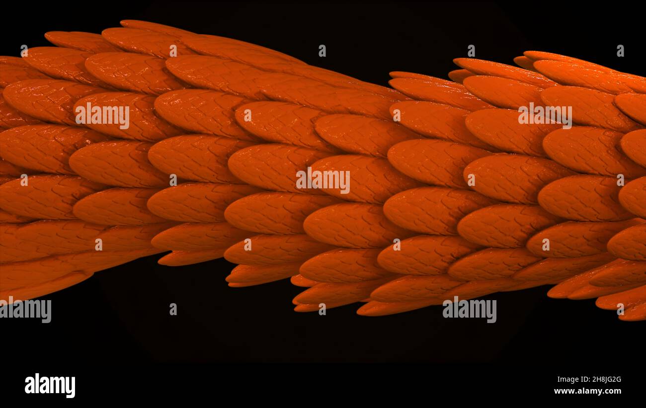 Abstract animation of multicolored 3d glossy snake or dragon scales ...