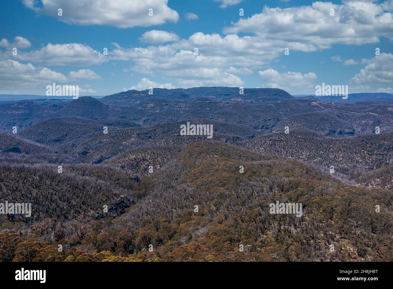 Drone aerial photograph of bushland along the Explorers Range in the ...