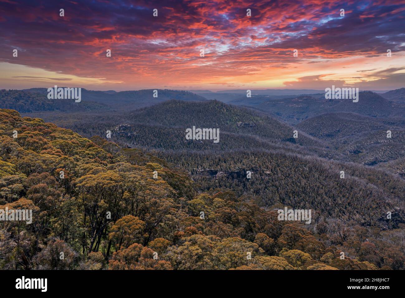 Drone aerial photograph of bushland along the Explorers Range in the ...