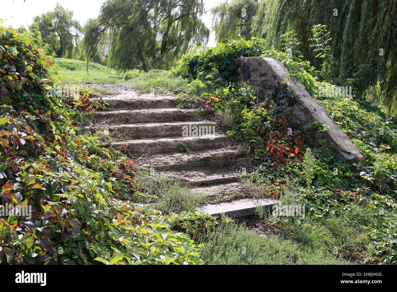 Old stone stairs in Chernobyl. Stairs are covered with bushes Stock ...