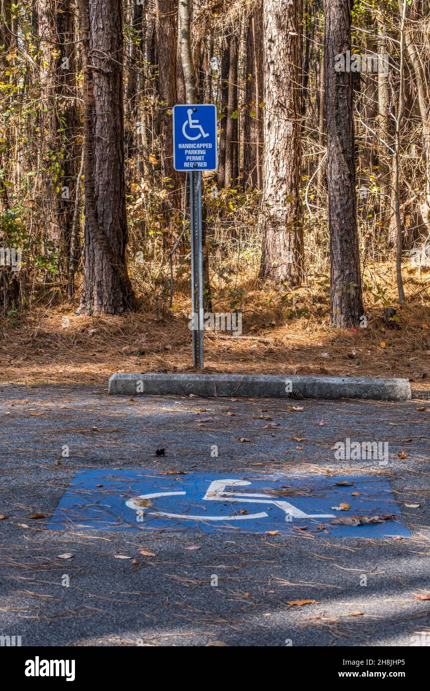 Only one handicap space with signage and symbol painted on the ground ...