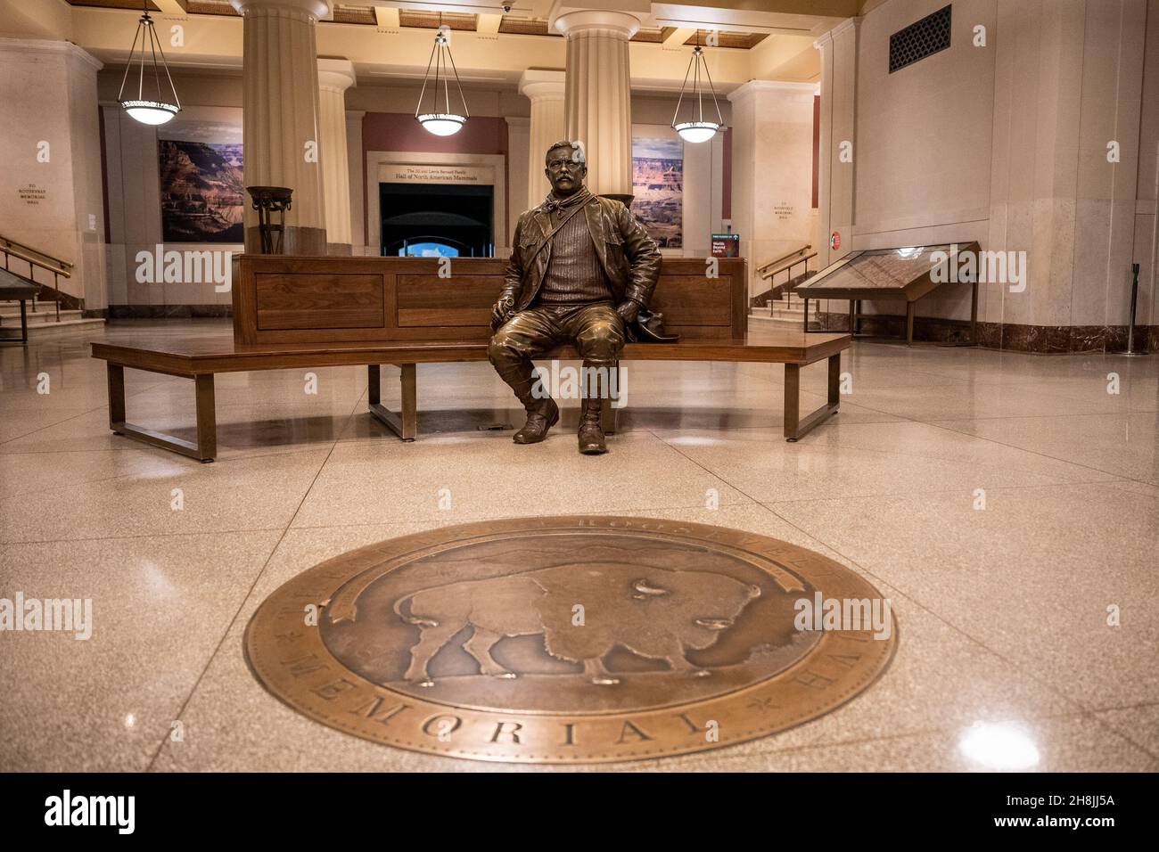 Theodore roosevelt memorial hall hi-res stock photography and images ...