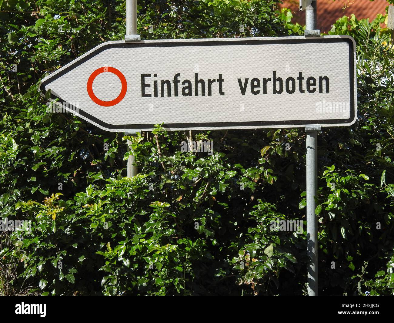 "No Entrance" signboard in German attached on a pole against green ...