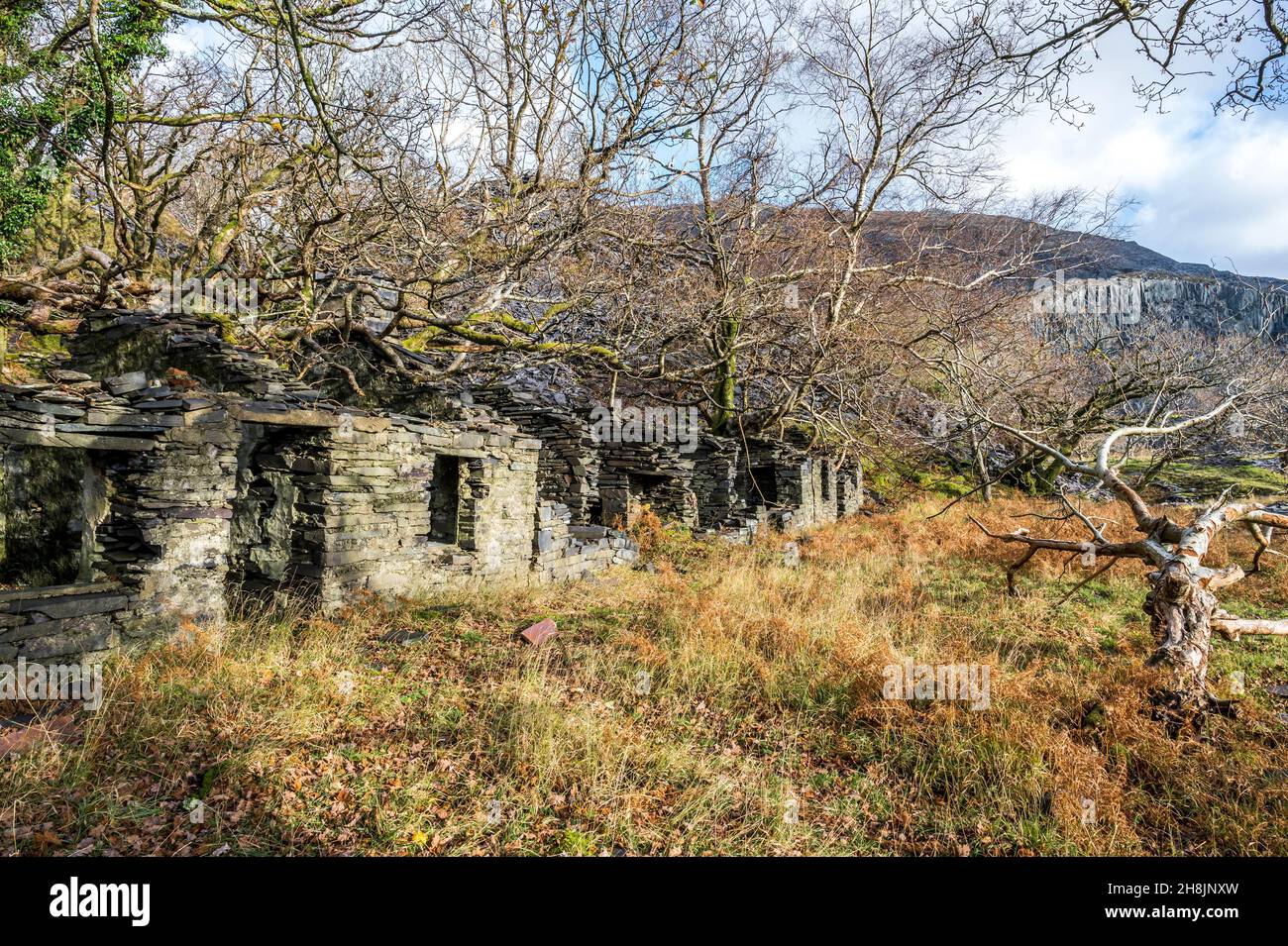 Slate miner wales hi-res stock photography and images - Alamy