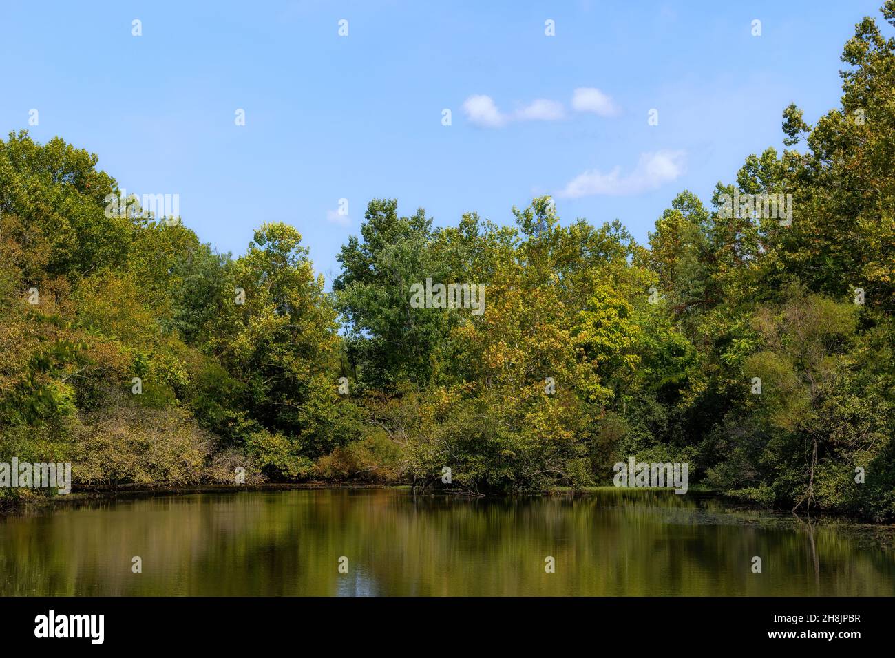Pond with a view hi-res stock photography and images - Alamy