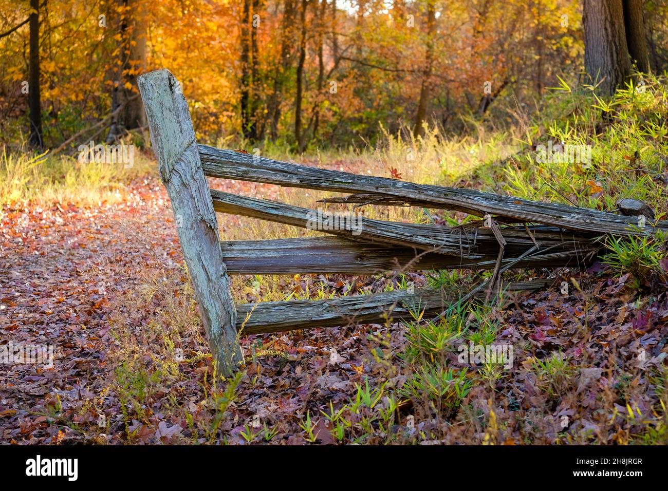 Farm split rail fence hi-res stock photography and images - Alamy