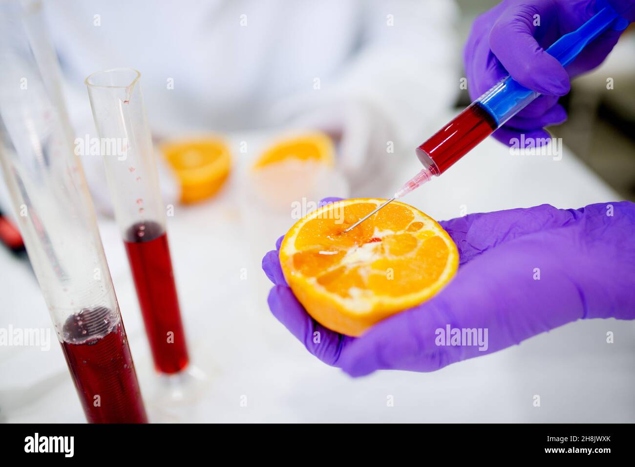 Doctors hands injecting chemical substances into orange. Close up of a ...