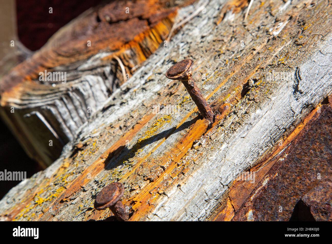 Plank of wood with nail hi-res stock photography and images - Alamy