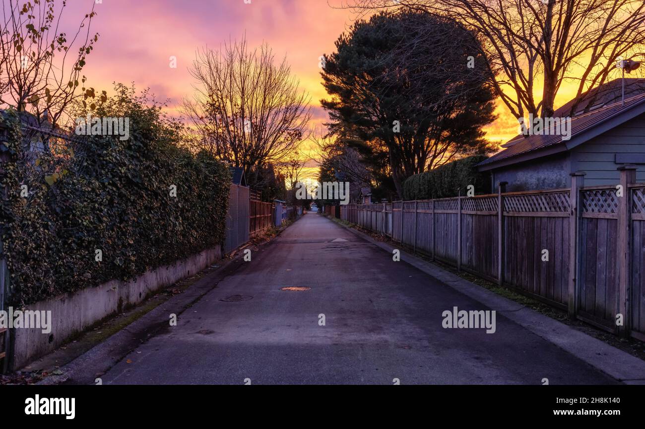 Alley in a residential neighborhood in the city suburbs Stock Photo - Alamy