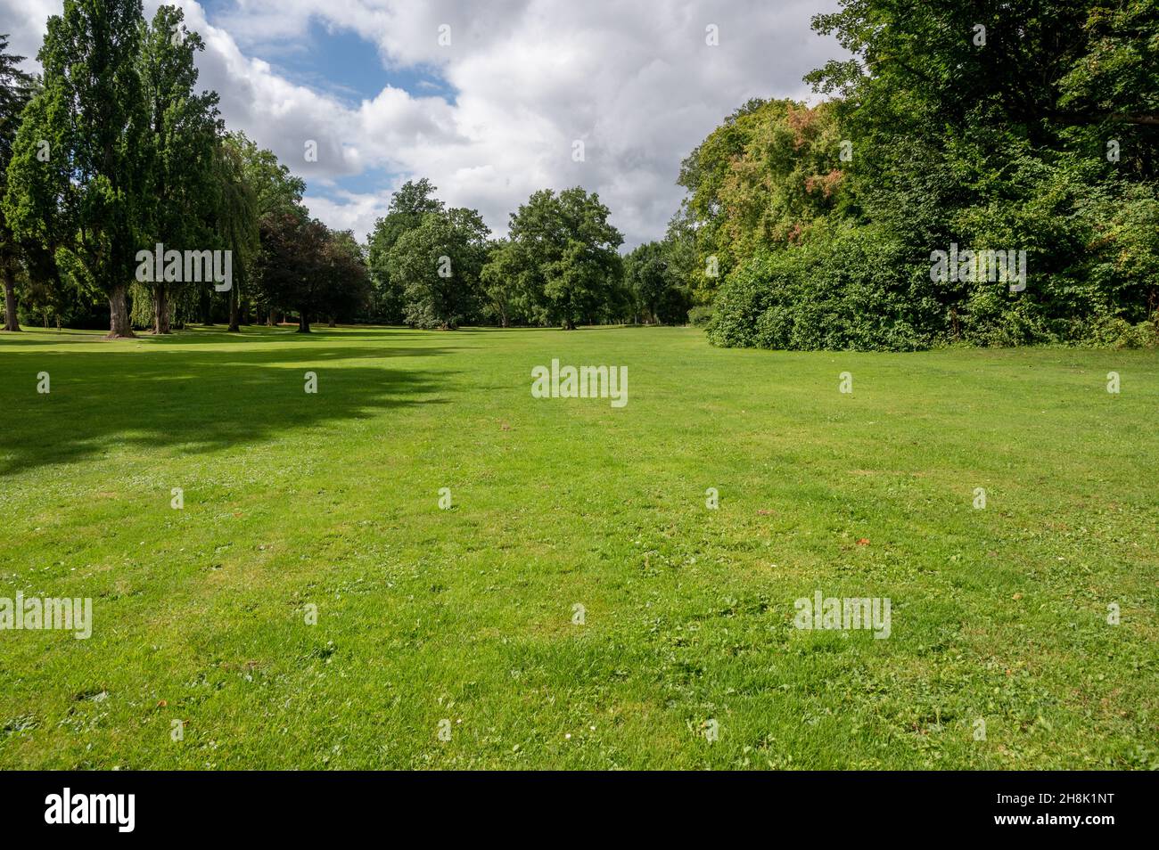 Beautiful view of a bright green field with among trees, with a cloudy ...