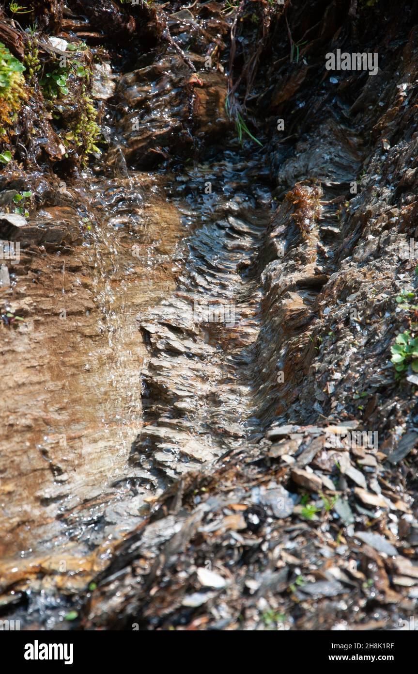 Vertical shot river water hi-res stock photography and images - Alamy
