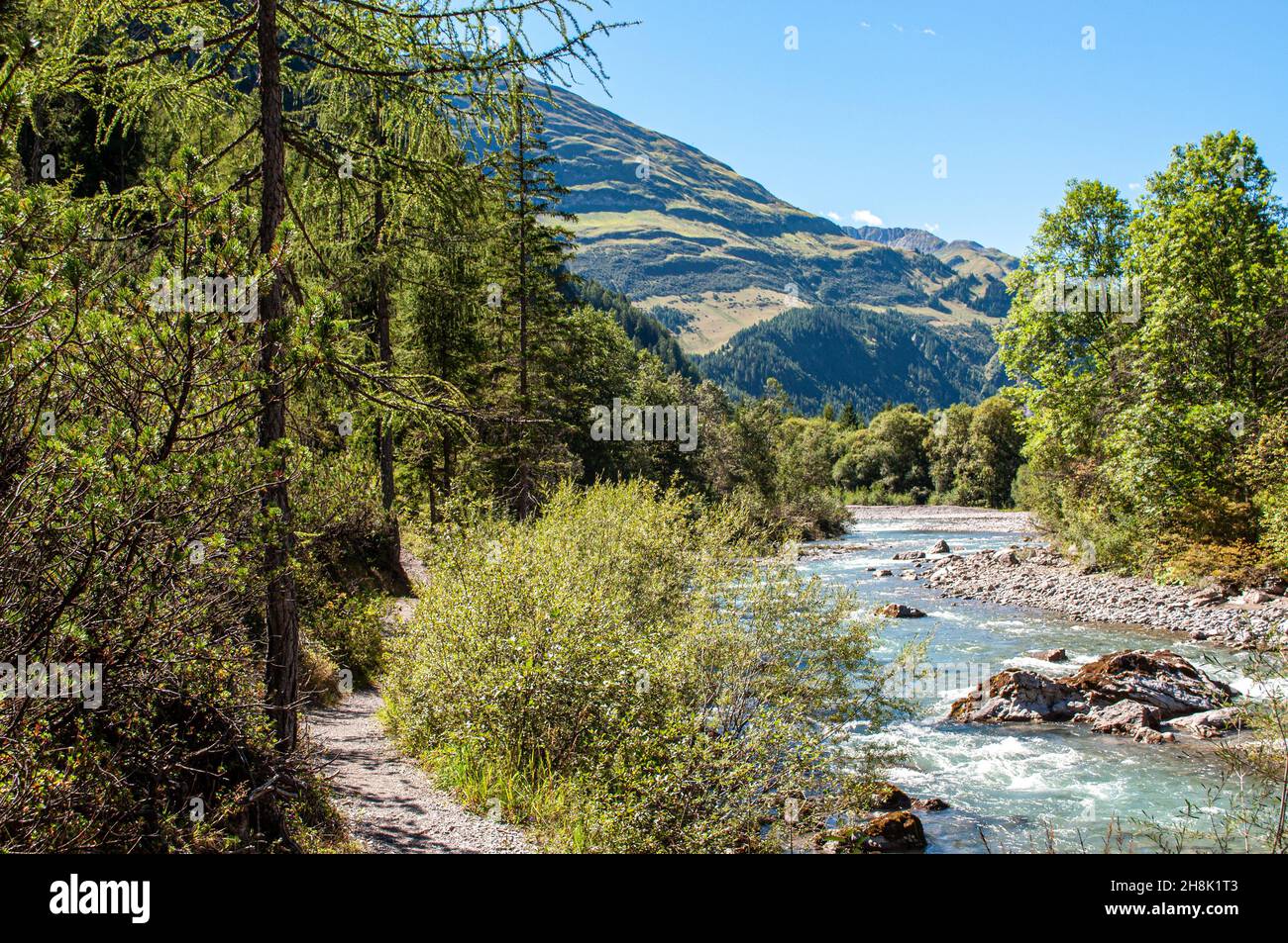 Beautiful view of a small river among trees with a mountain in the ...