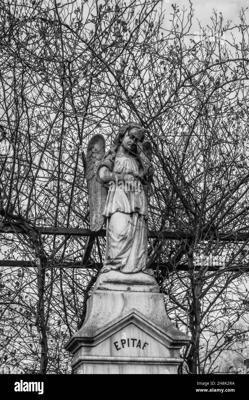 The angel monument Black and White Stock Photos & Images - Alamy