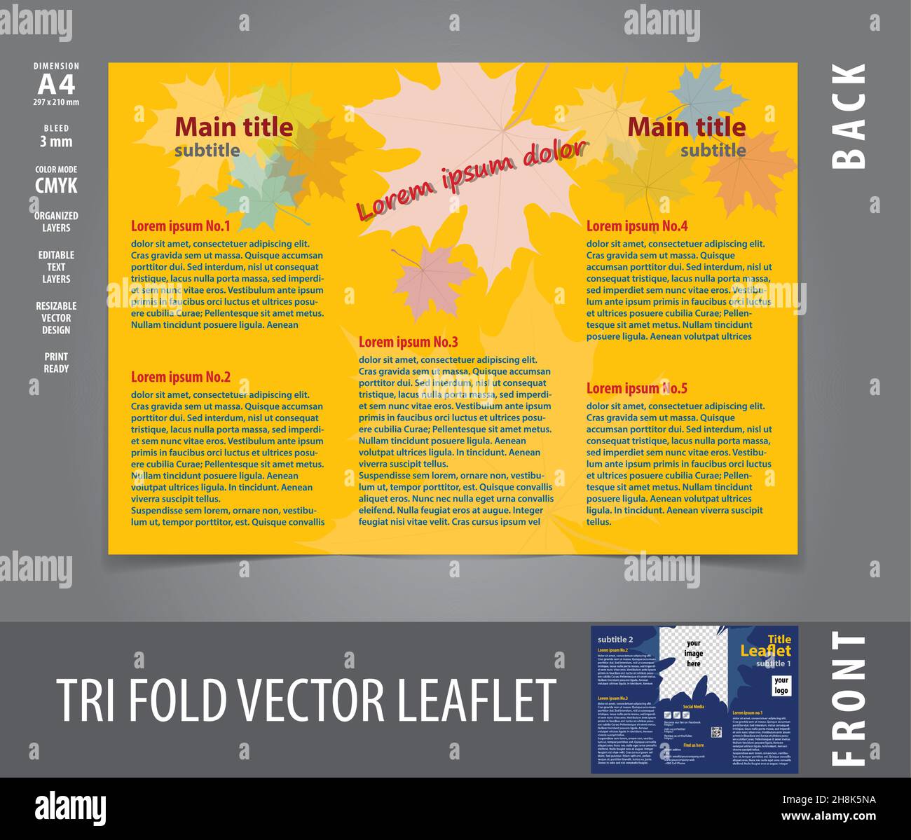 Leaflet a4 hi-res stock photography and images - Alamy