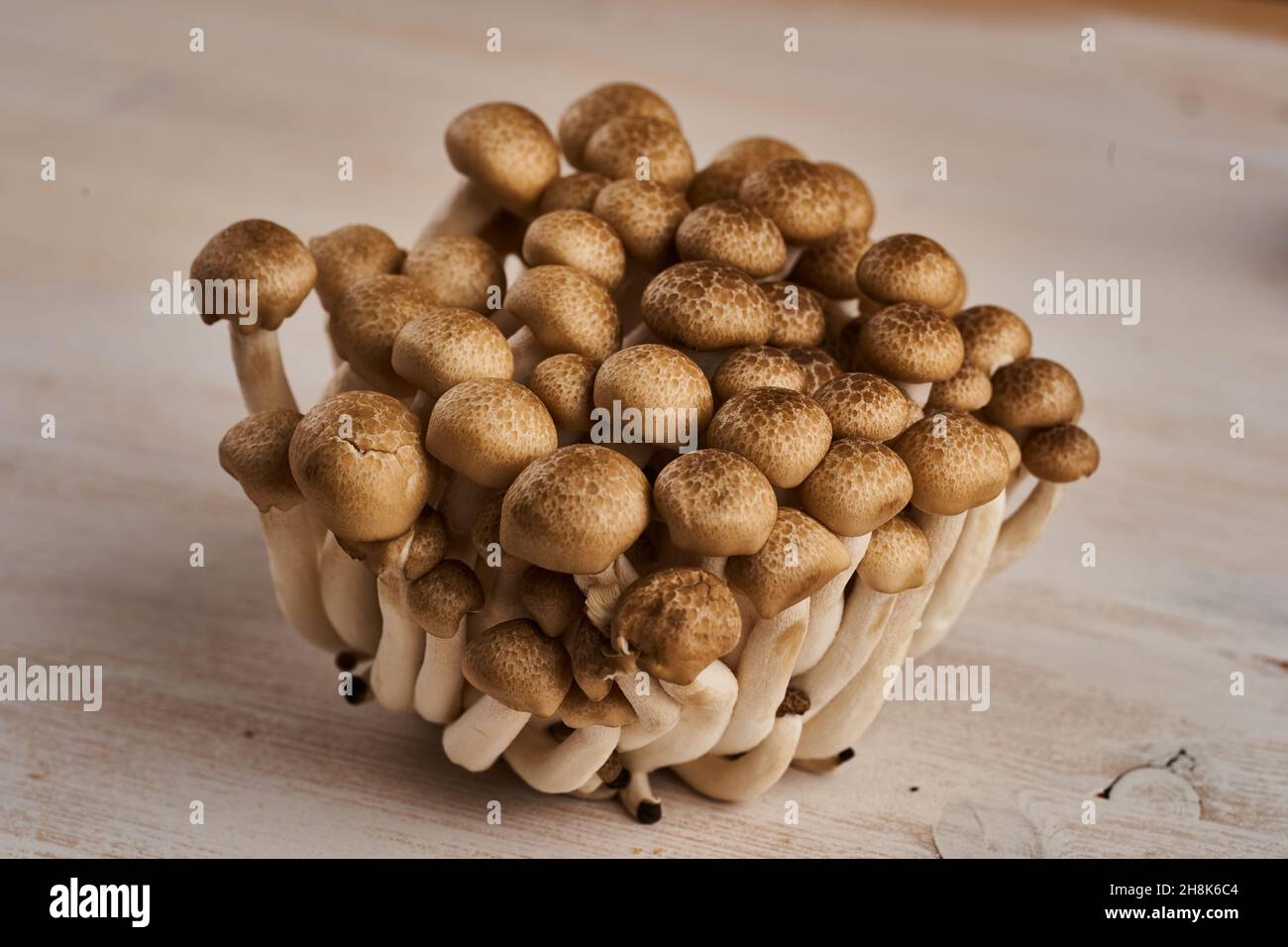 Closeup of a bunch of brown shimeji mushrooms on a wooden board Stock ...