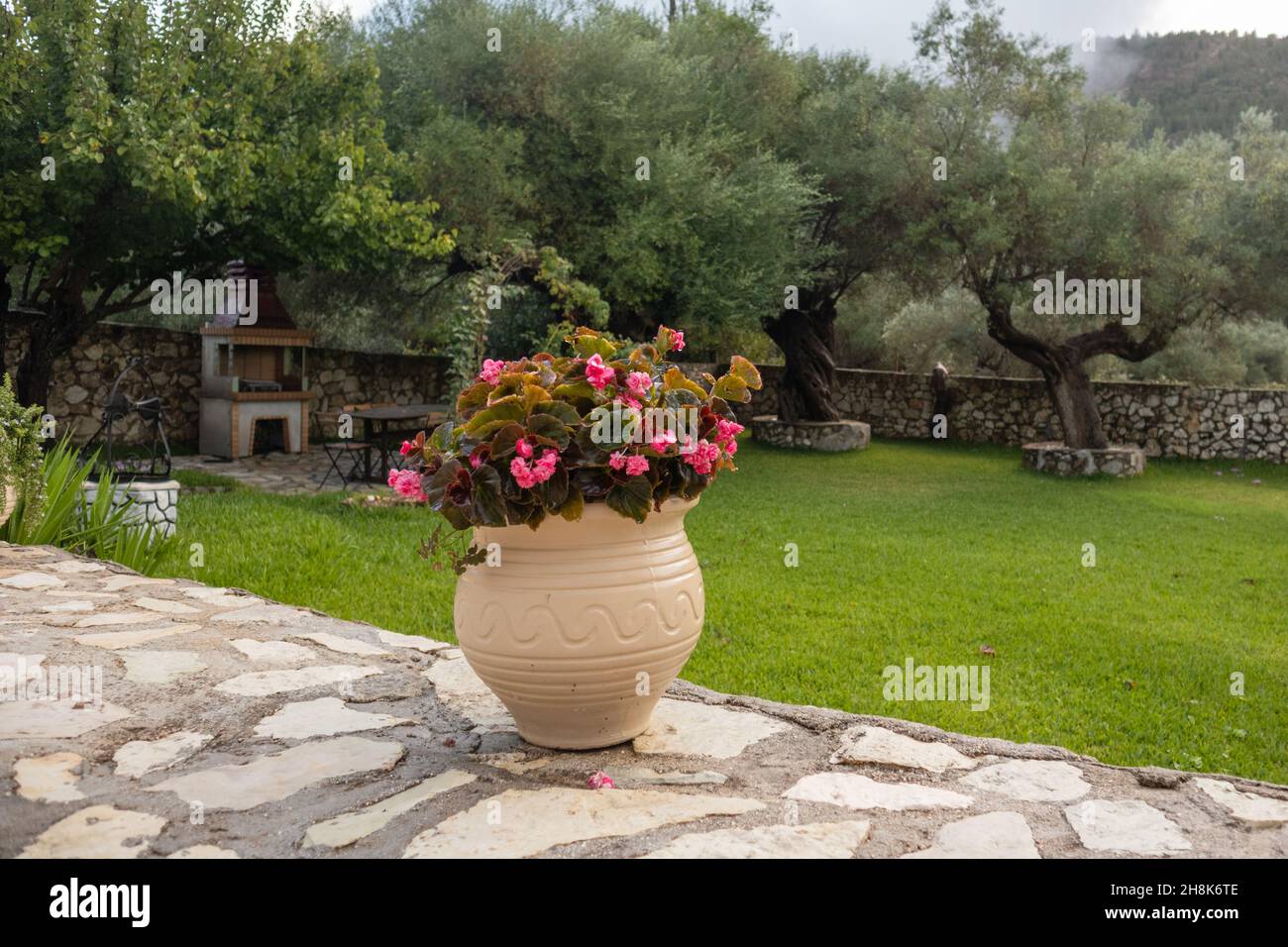 Big vase with pink flowers in green summer Greek traditional yard with ...