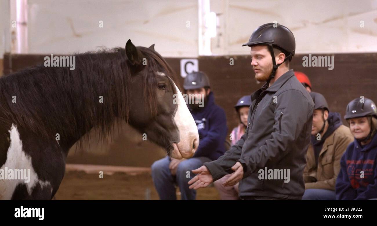 THE MUSTANGS: AMERICA'S WILD HORSES, a military veteran interacts with ...