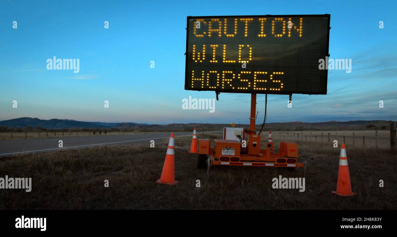 THE MUSTANGS: AMERICA'S WILD HORSES, road sign warning drivers of wild ...