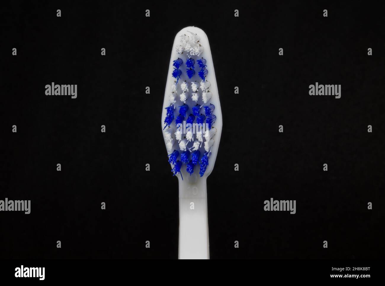 White toothbrush with blue and white bristles in a dark background ...