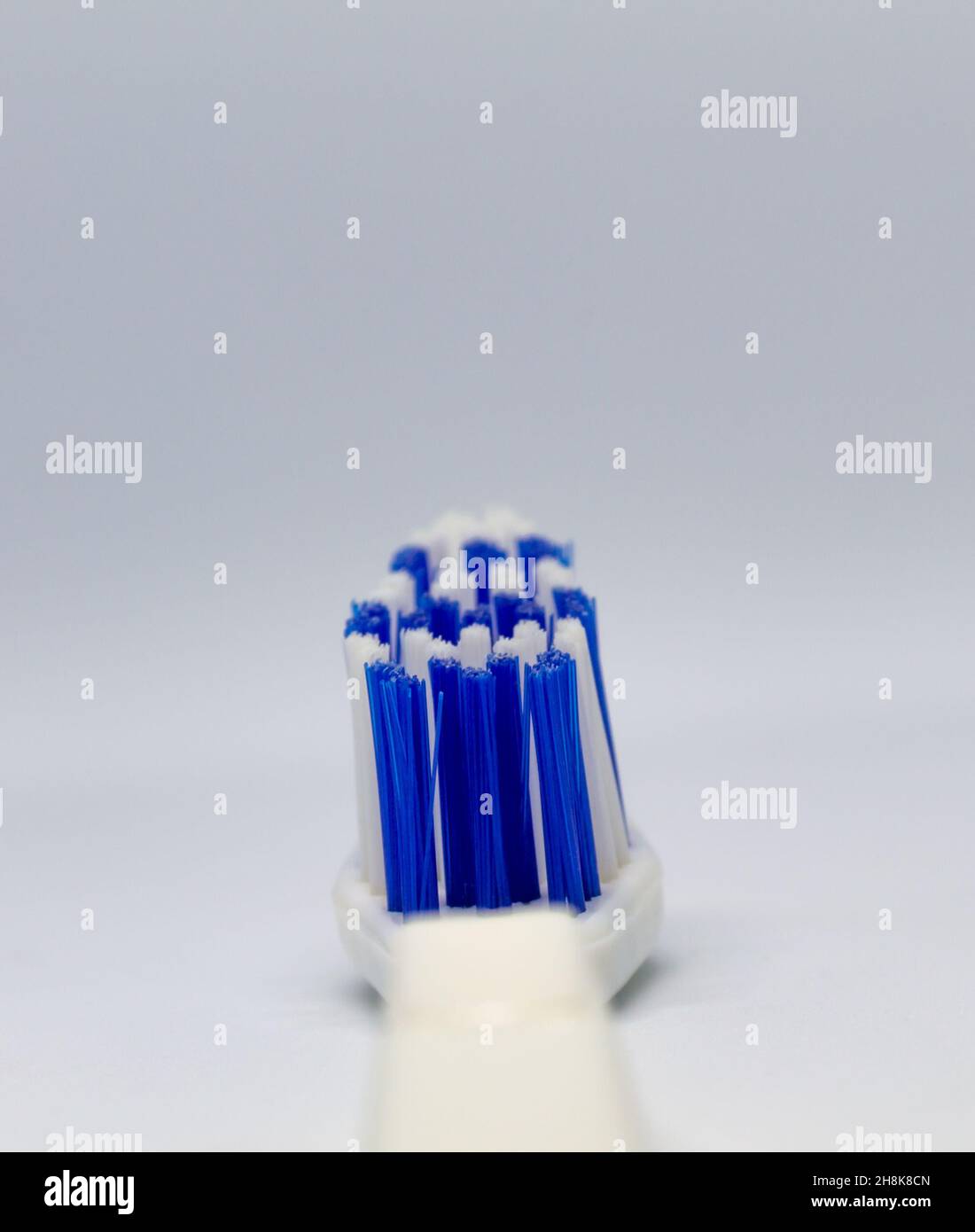 White toothbrush with blue and white bristles on a gray background ...