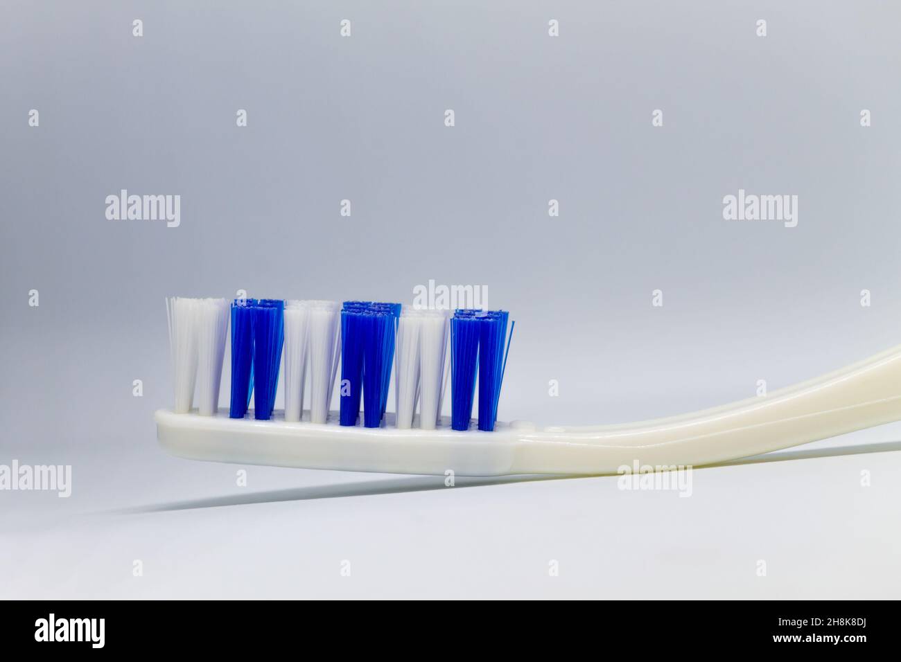 White toothbrush with blue and white bristles in a gray background ...