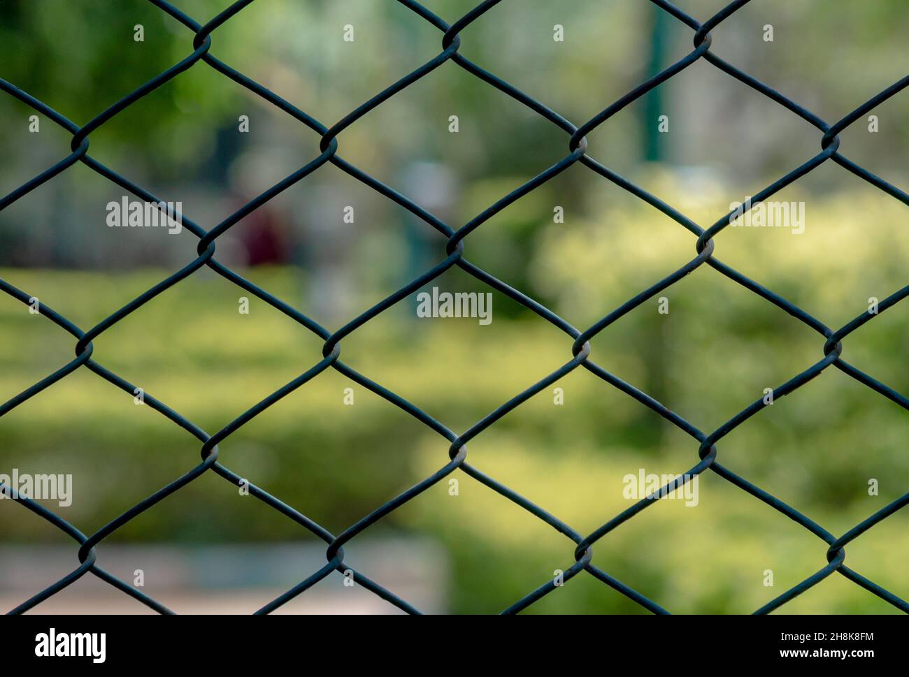 Metal wire fencing coated in green color Stock Photo - Alamy