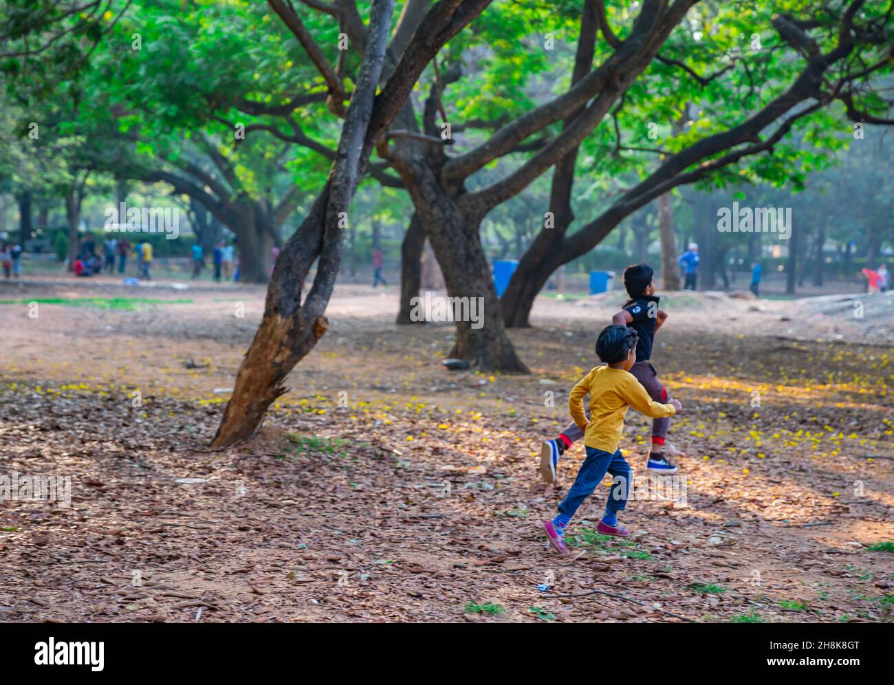 Two little boys playing outdoors in the garden under old trees with ...