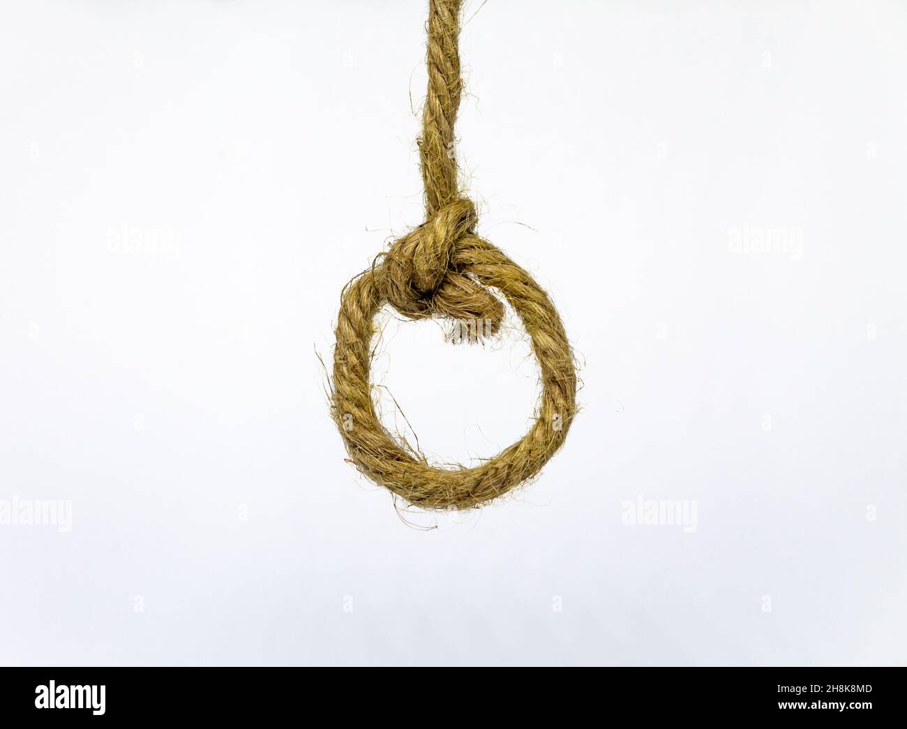 Closeup shot of a knot from coir isolated on a white background Stock ...