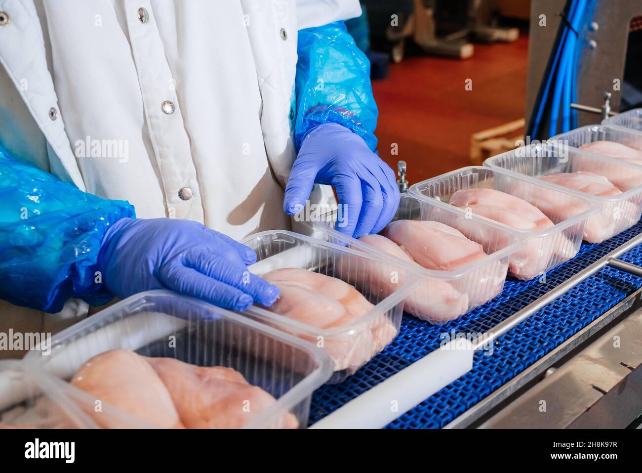 Meat processing,food industry.Packing of meat slices in boxes ,conveyor ...