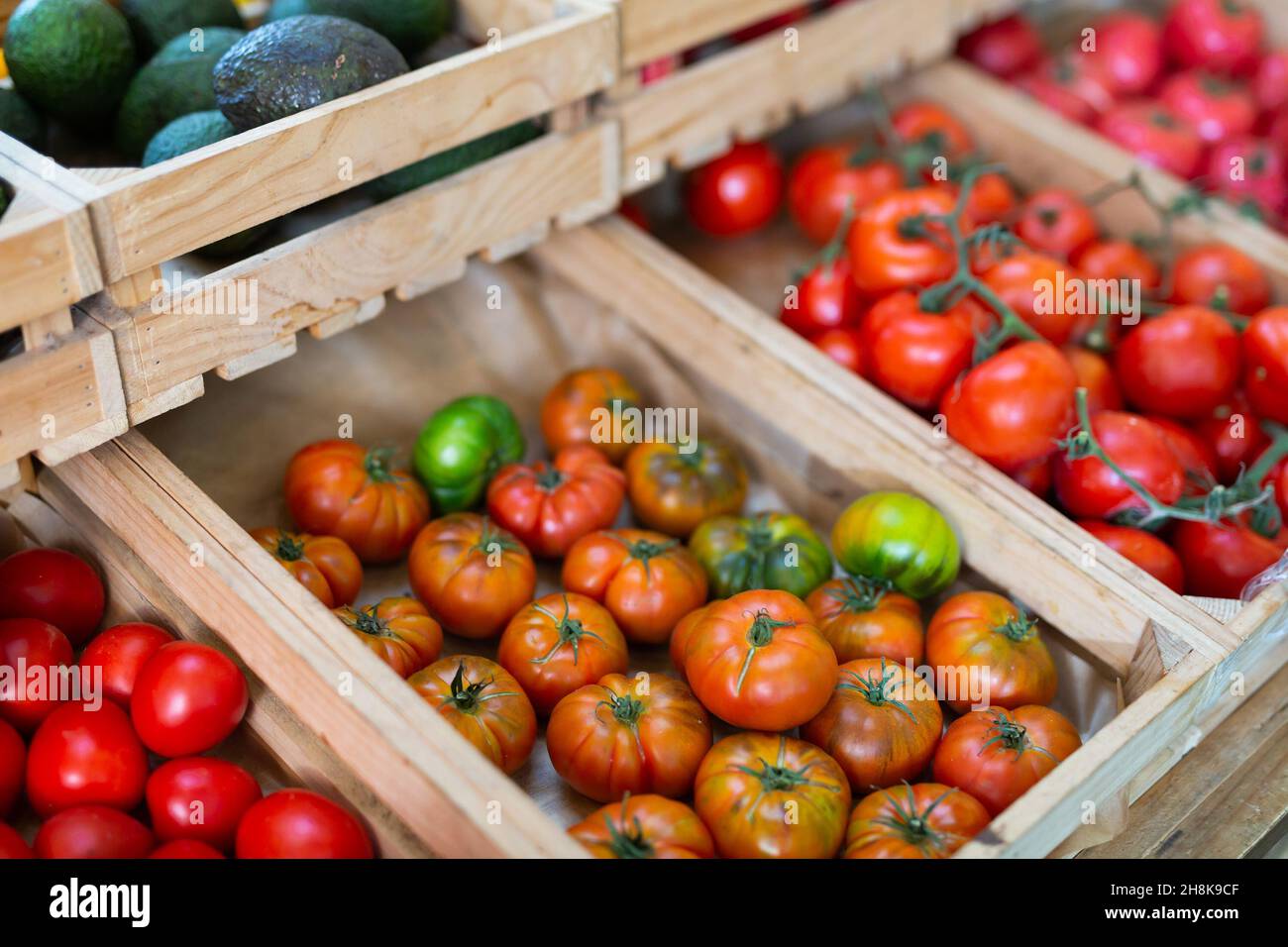 Harvest of ripe tomatoes of different varieties in crates on the ...