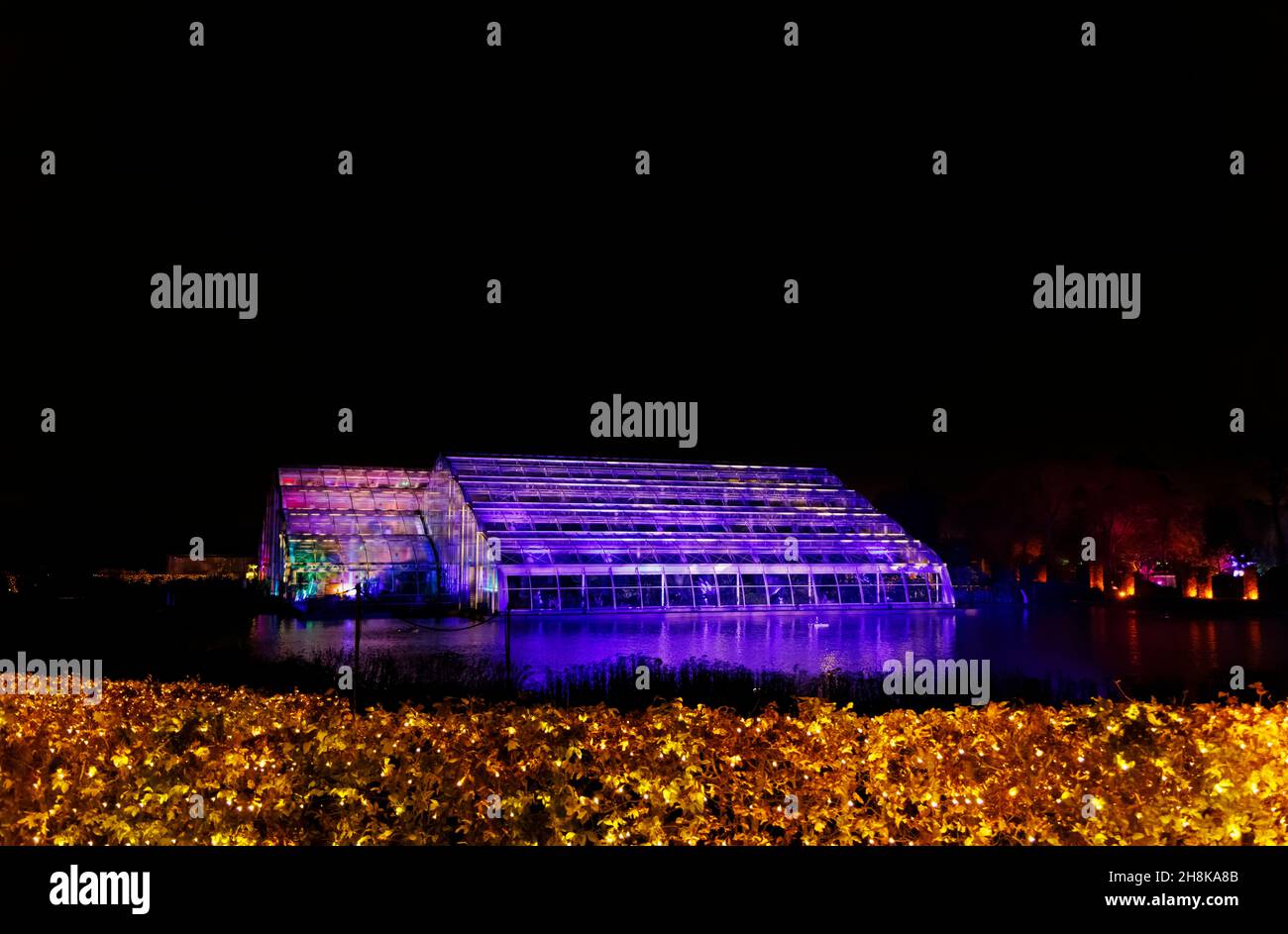 The Glasshouse illuminated with blue light during Glow 2021, the annual ...