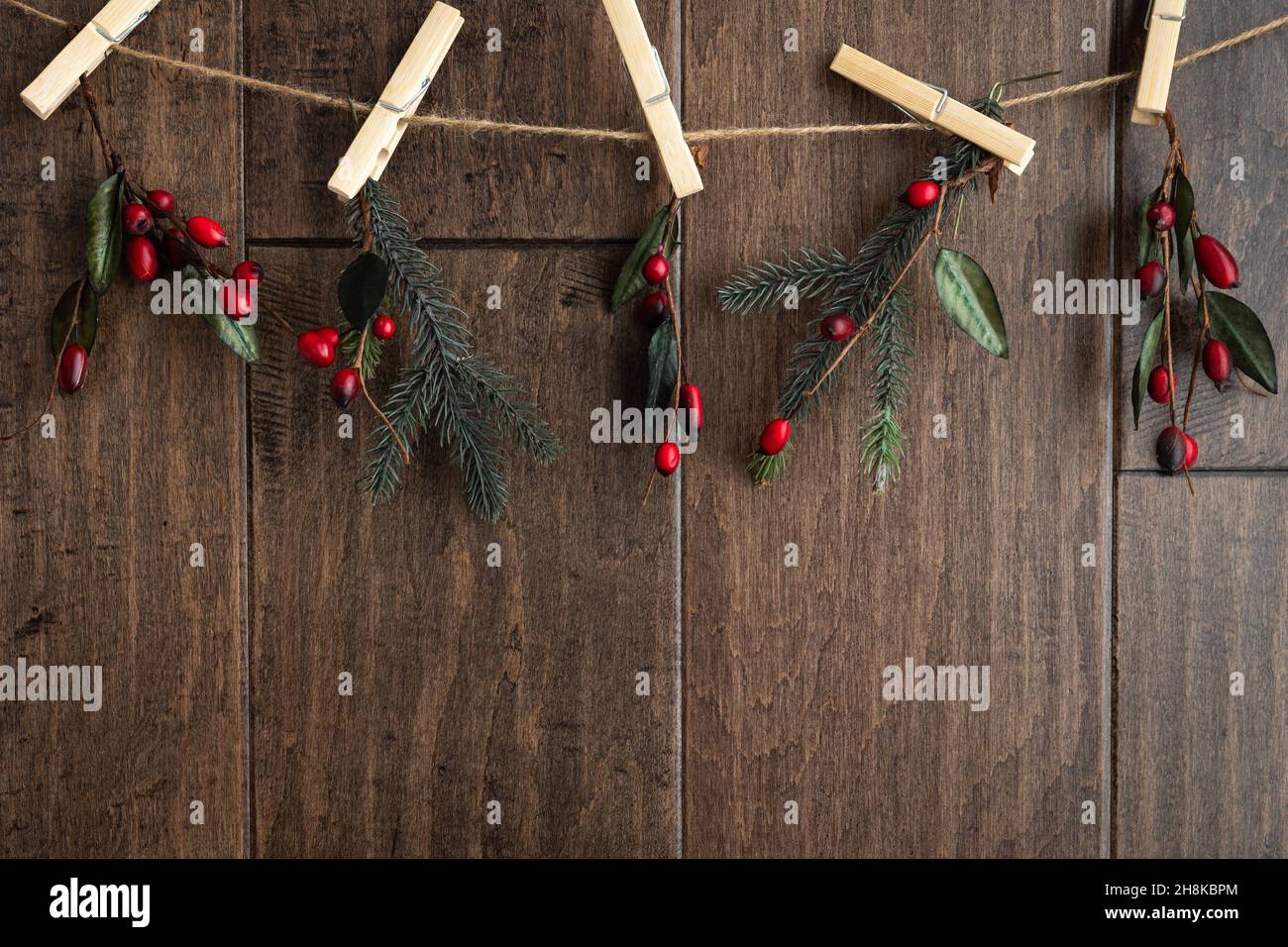 Christmas frame with sprigs of branches with green leaves and red ...
