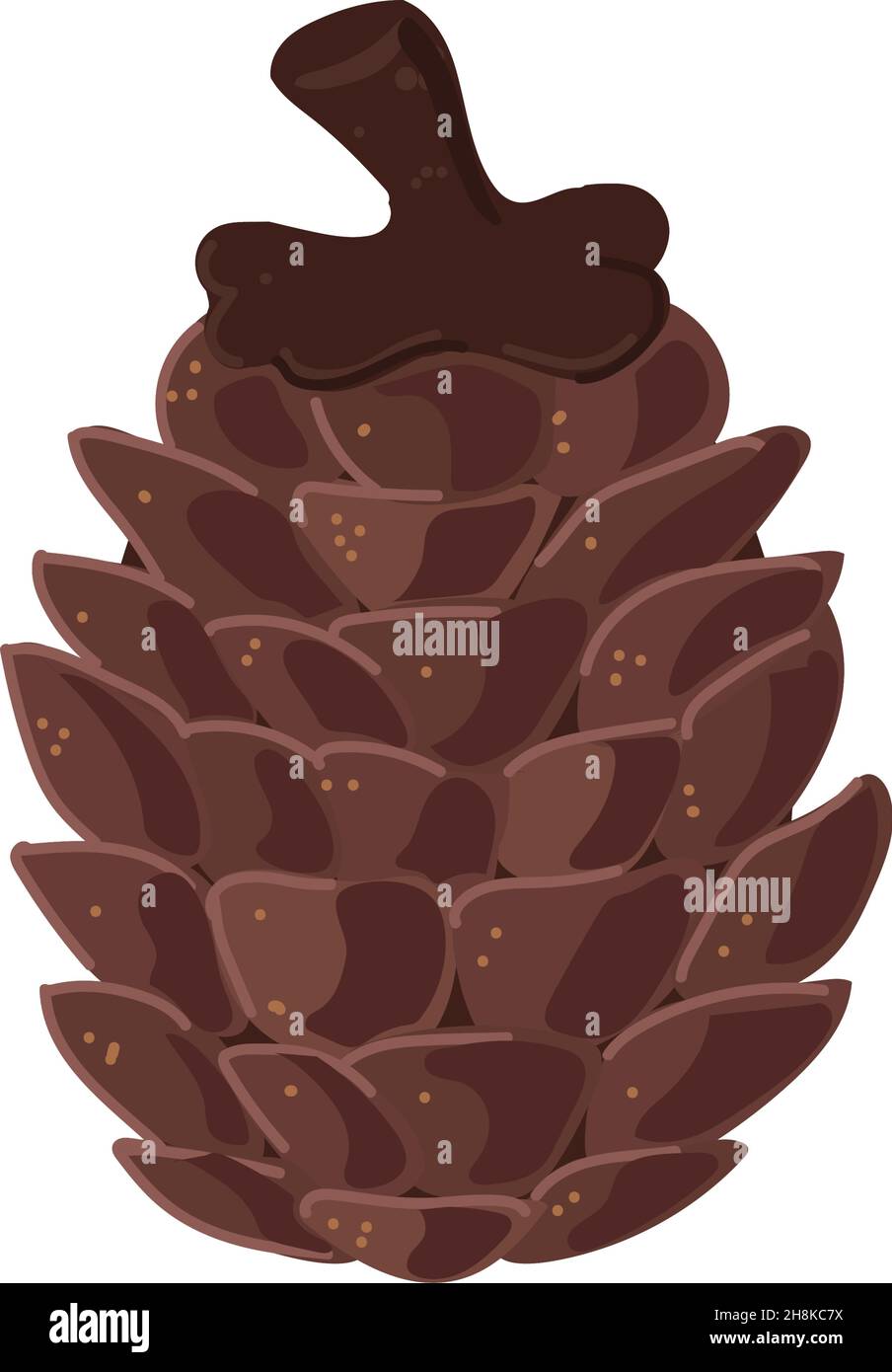 brown cone pine over white Stock Vector Image & Art - Alamy