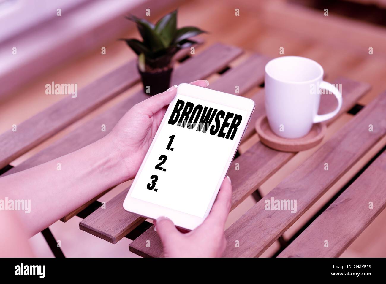 Conceptual Display Browser Business Showcase Computer Program Graphical User Interface 